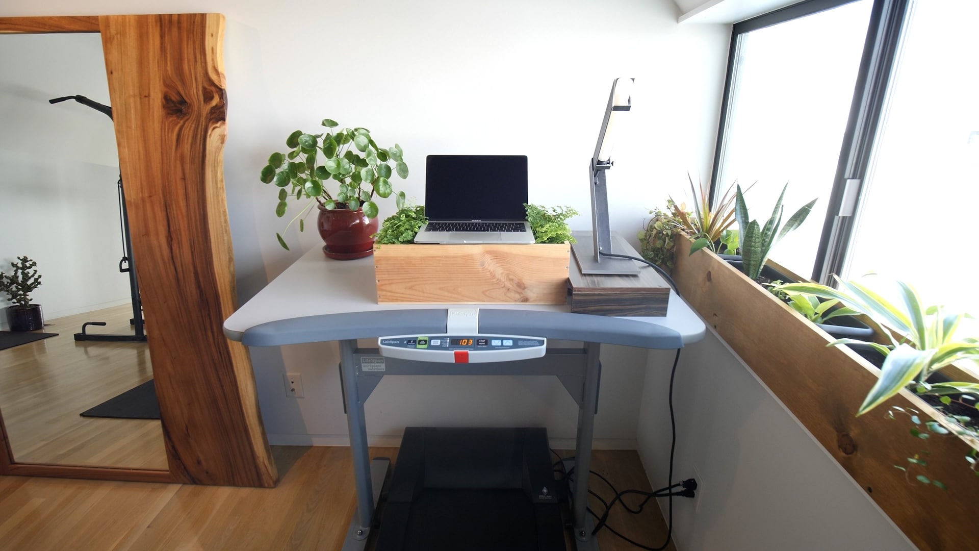 Holistic Home: Gym - Datacolor ColorReader