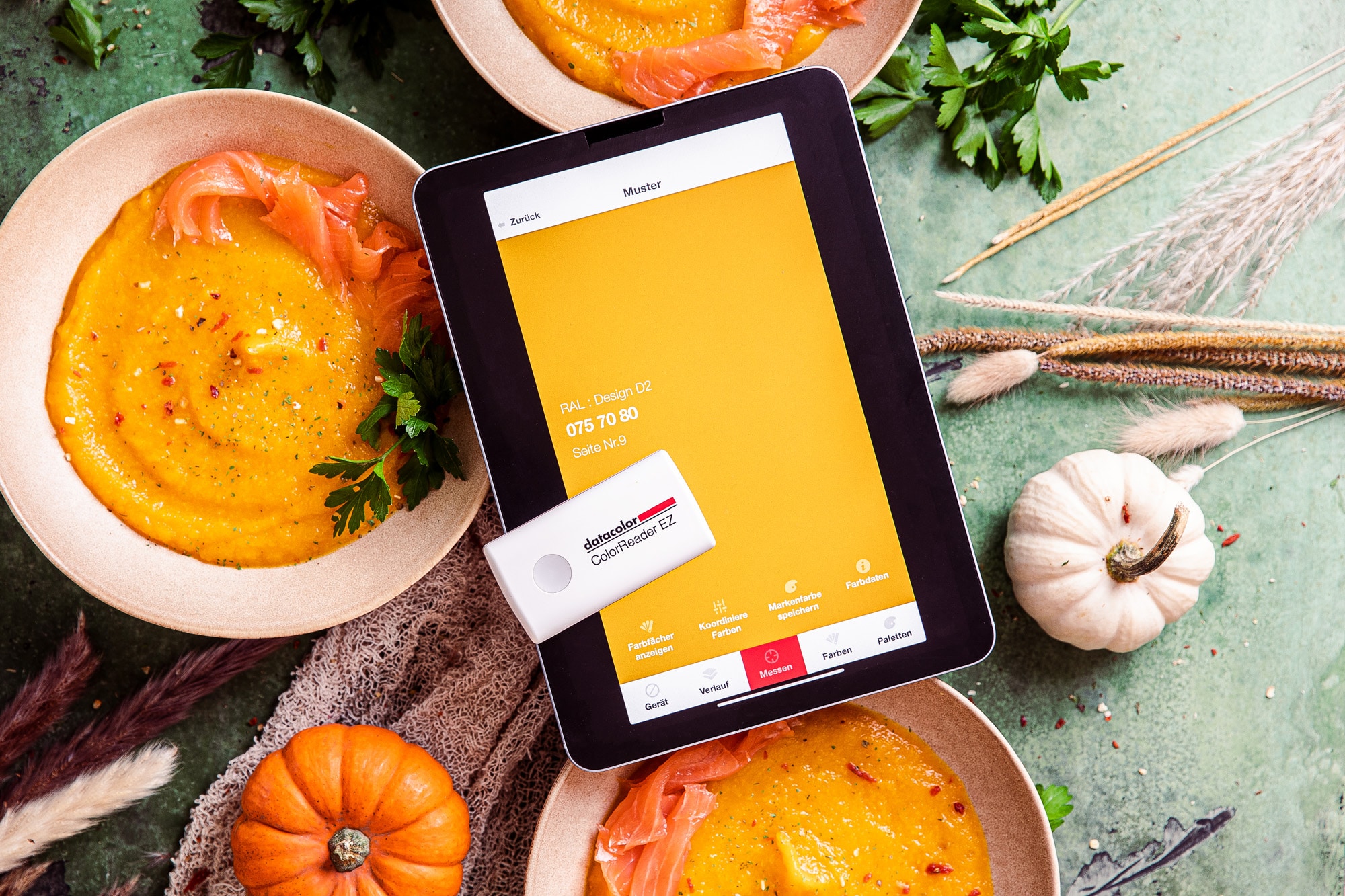 Perfect Color Matching in Food Photography - Datacolor ColorReader