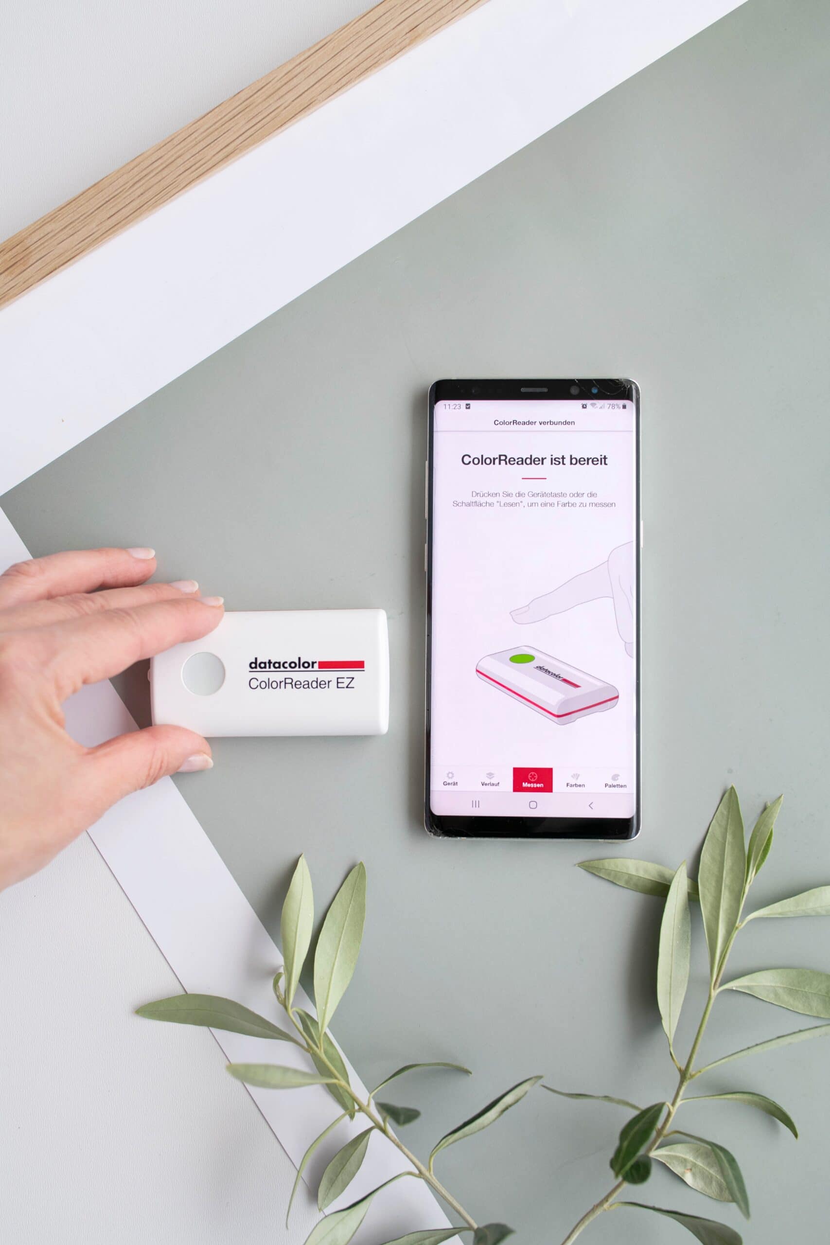 Natural colors and absolutely trendy: A complete color design for walls ...