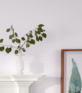 2023 Paint Color Trends for the Home - Datacolor ColorReader
