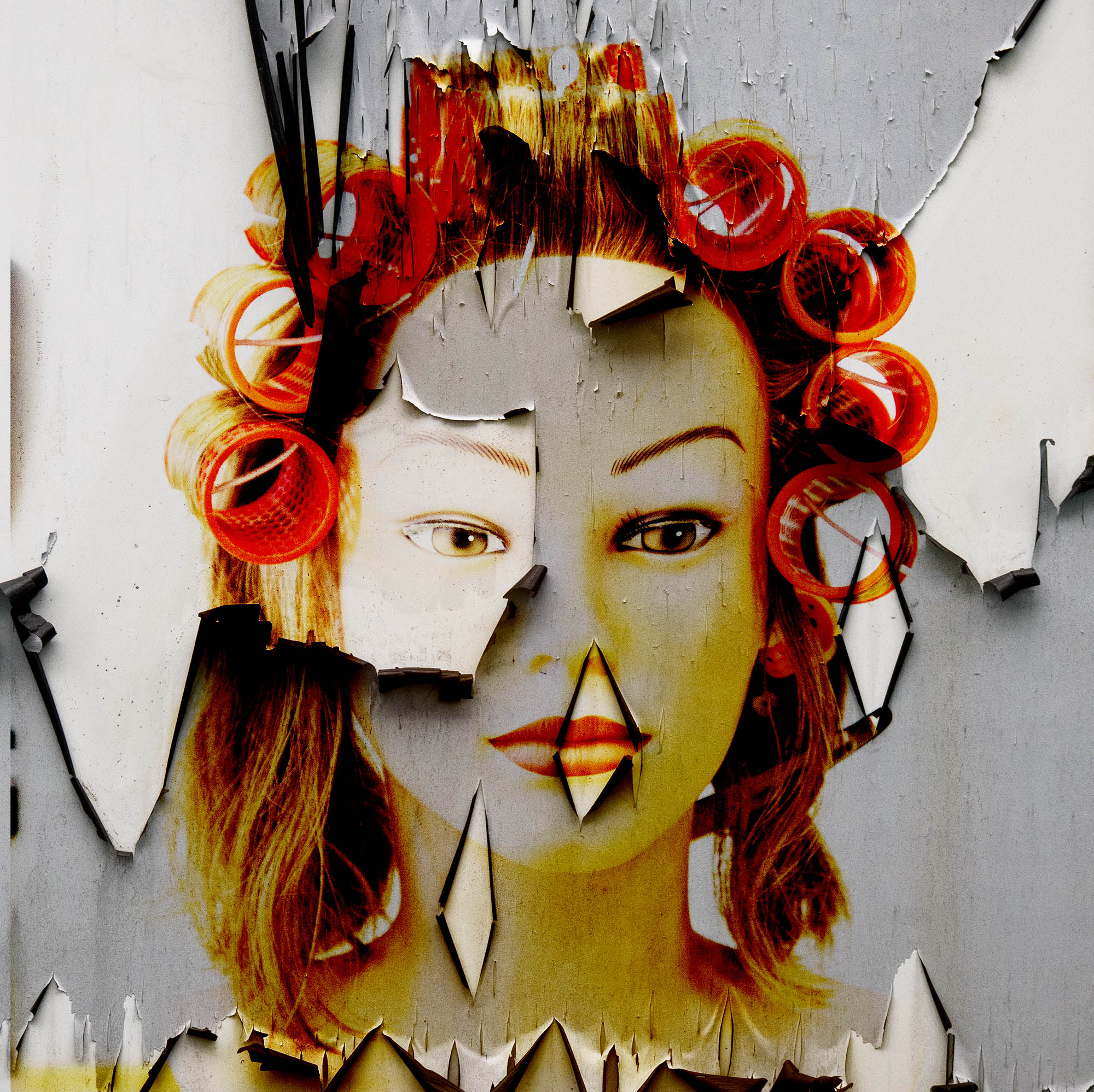 Questions for Walter Fogel – “Opposites” photo competition - Datacolor ...