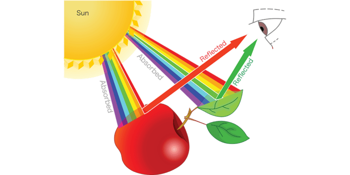 8 Things to Know if You Work with Color | Datacolor