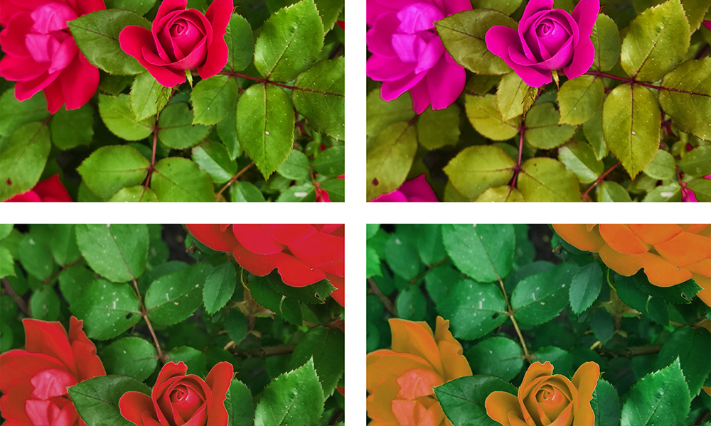 The Fascinating Science Behind Color Perception Datacolor