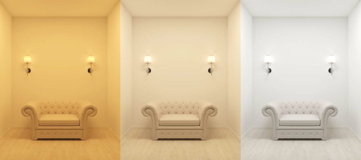 The Fascinating Science Behind Color Perception | Datacolor