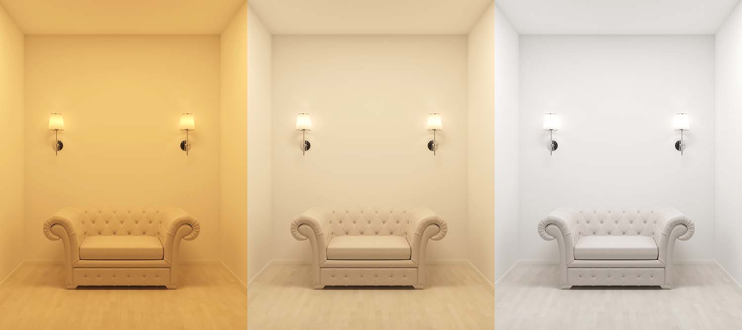 The Fascinating Science Behind Color Perception | Datacolor