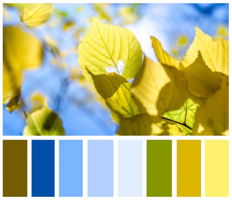 Pigment Formulation Software for Color Matching | Datacolor