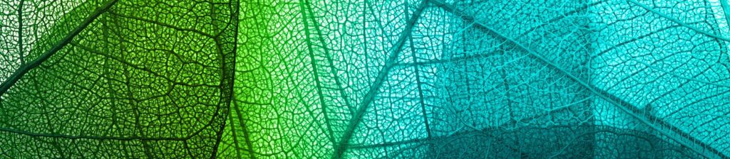 Sustainability Initiatives | Datacolor