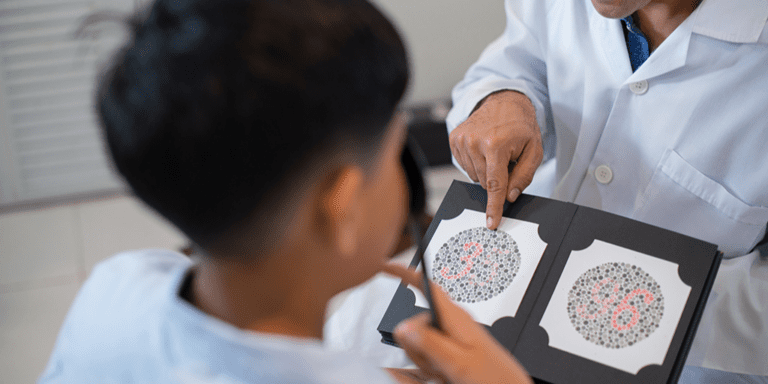 What Is Light? An Introduction to Human Color Vision | Datacolor