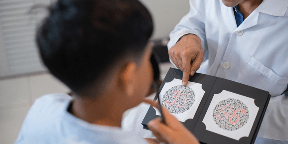 What Is Light? An Introduction to Human Color Vision | Datacolor