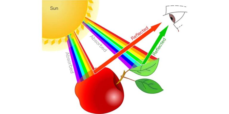 The Science Behind Color Perception | Datacolor