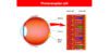The Role of Rods and Cones in Color Perception | Datacolor